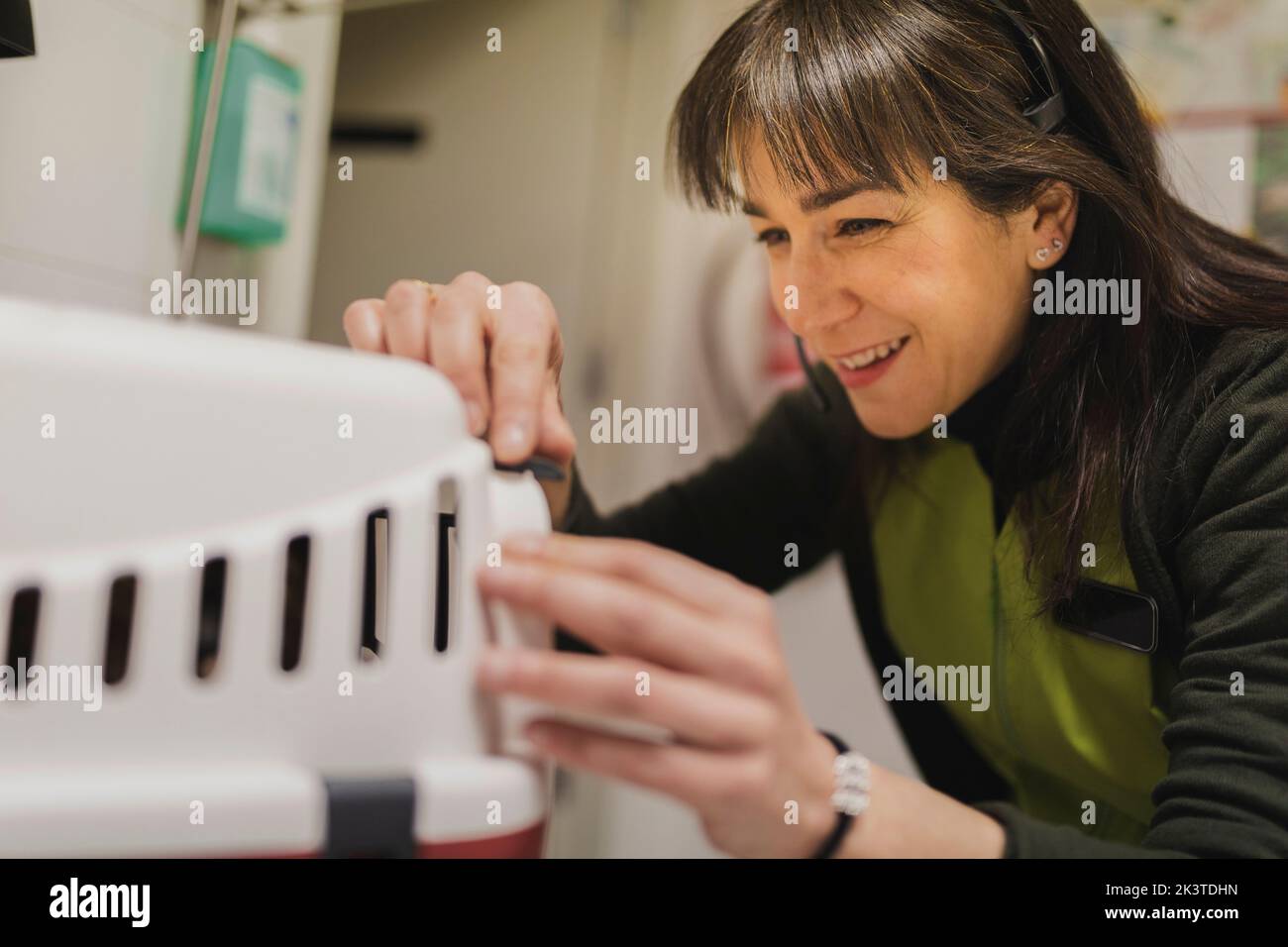 Professional woman with microphone near cat in basket Stock Photo - Alamy