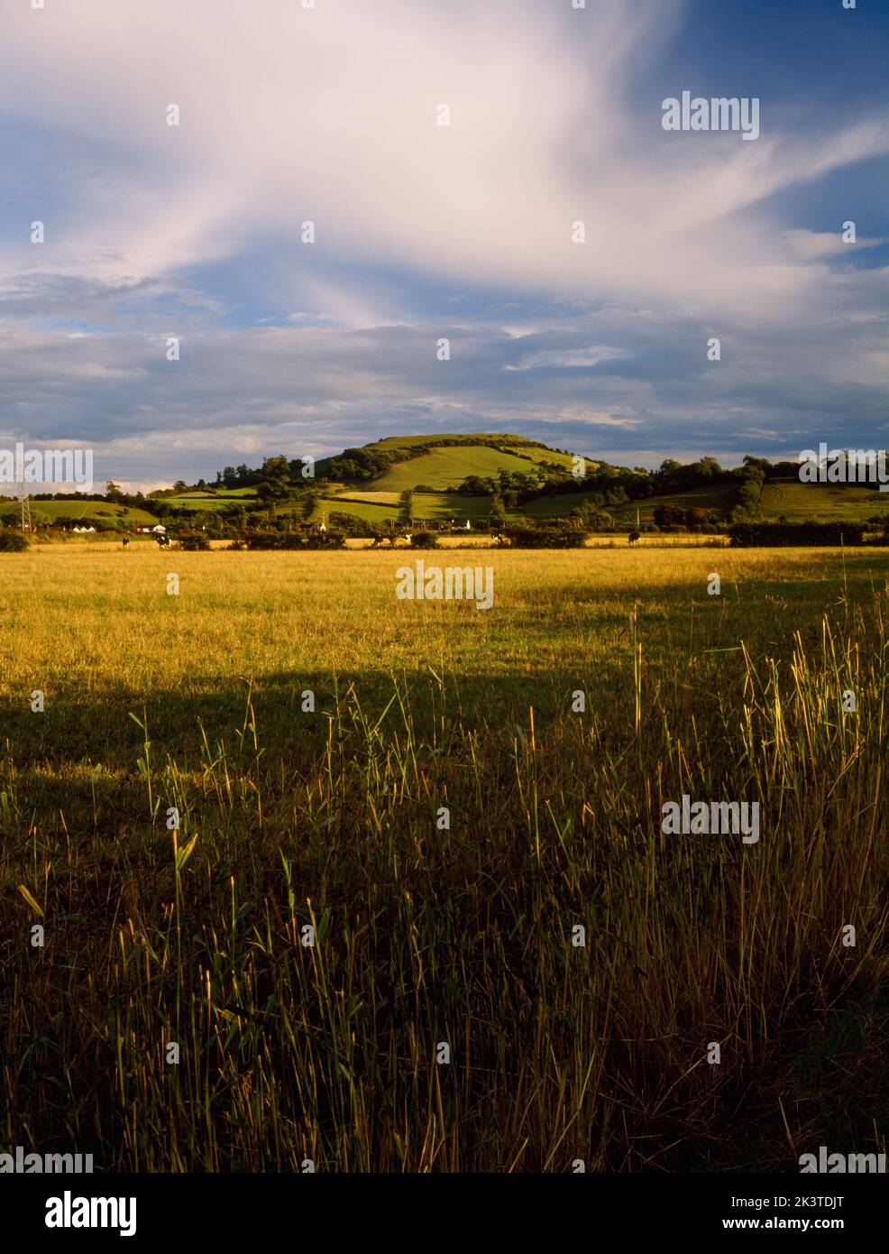 Brent Knoll hill and Iron Age hillfort, rising above Somerset levels ...