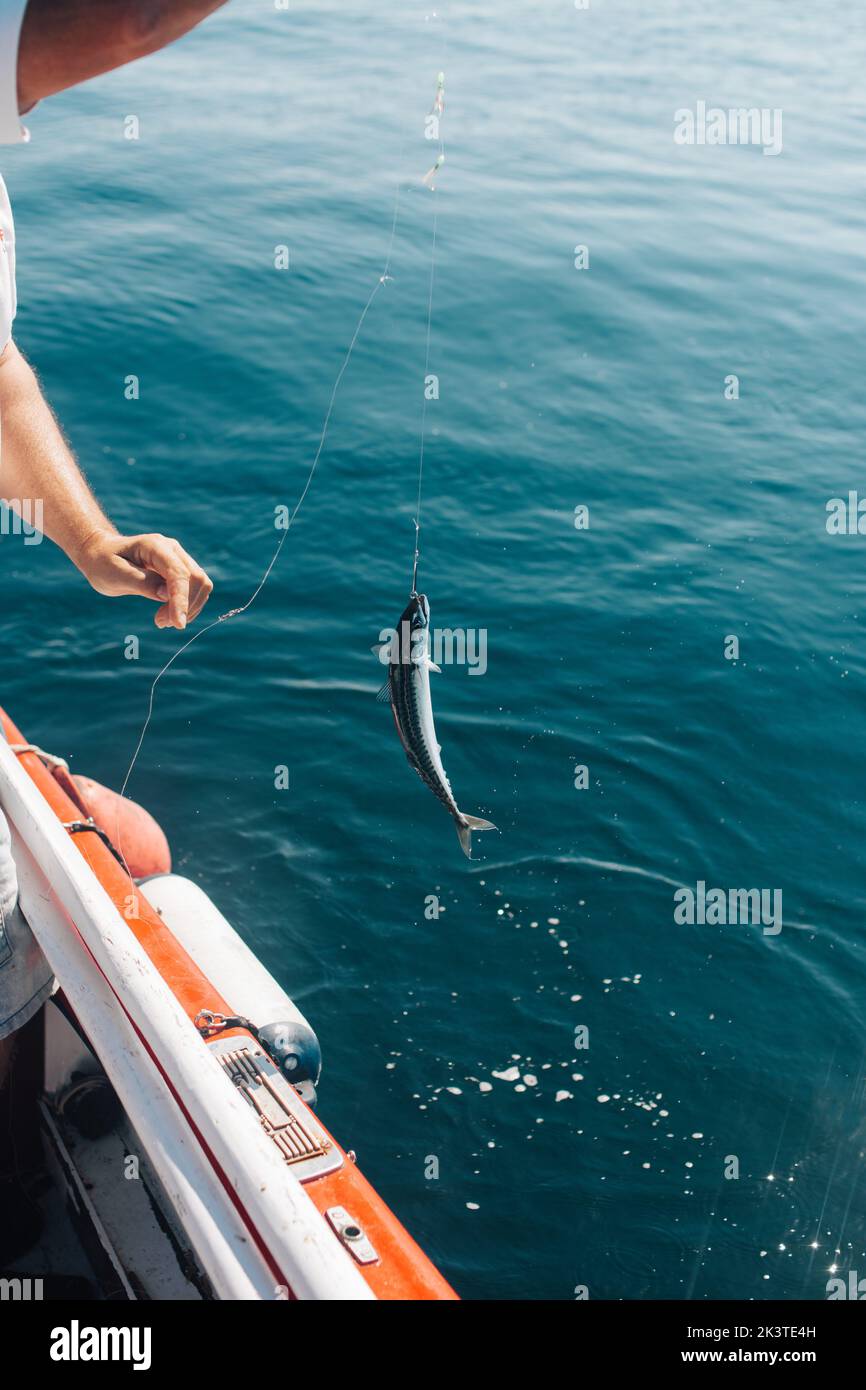 From above hooked fish pulling out of blue water from fishing line by ...