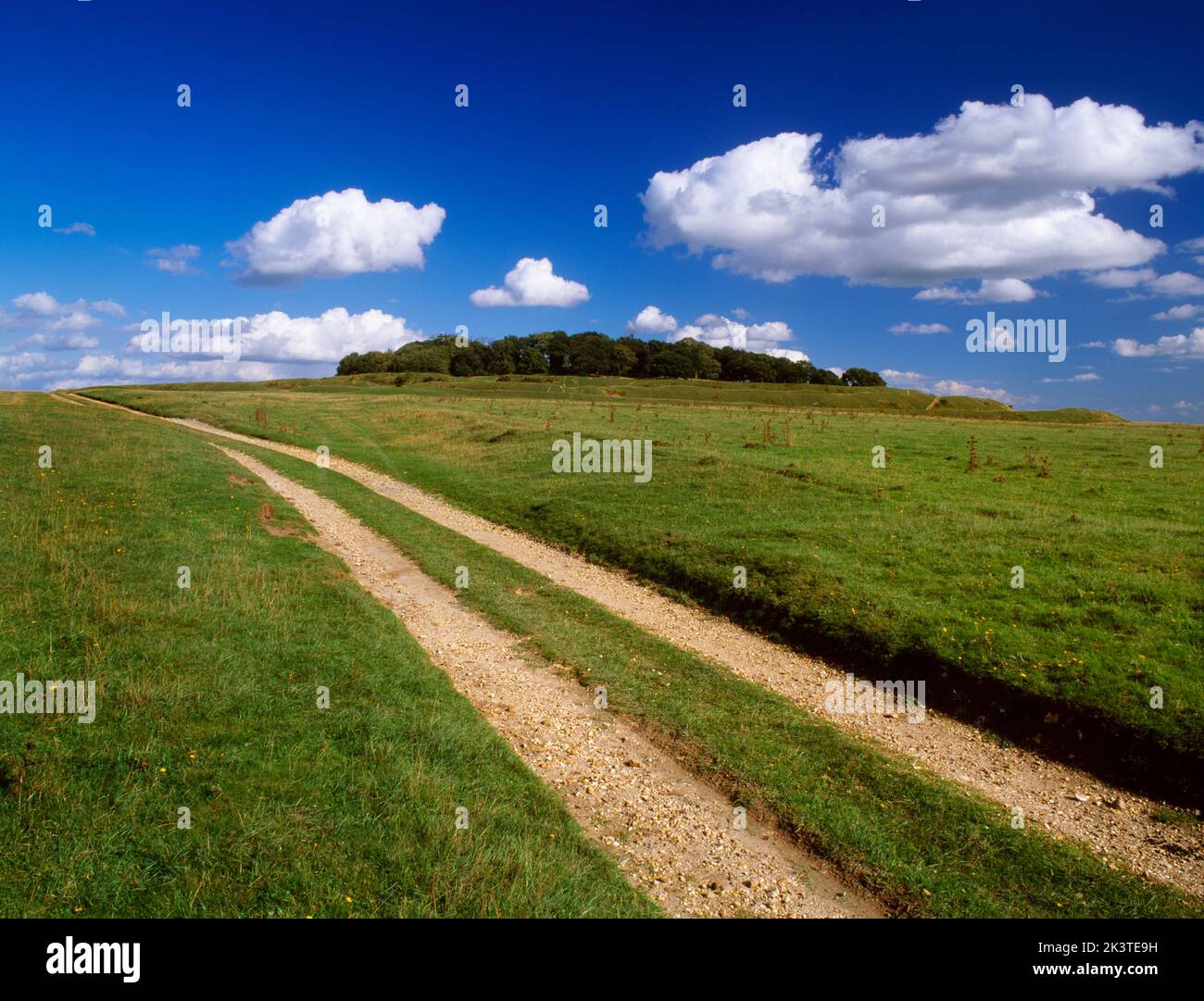 The battle of mount badon hi-res stock photography and images - Alamy