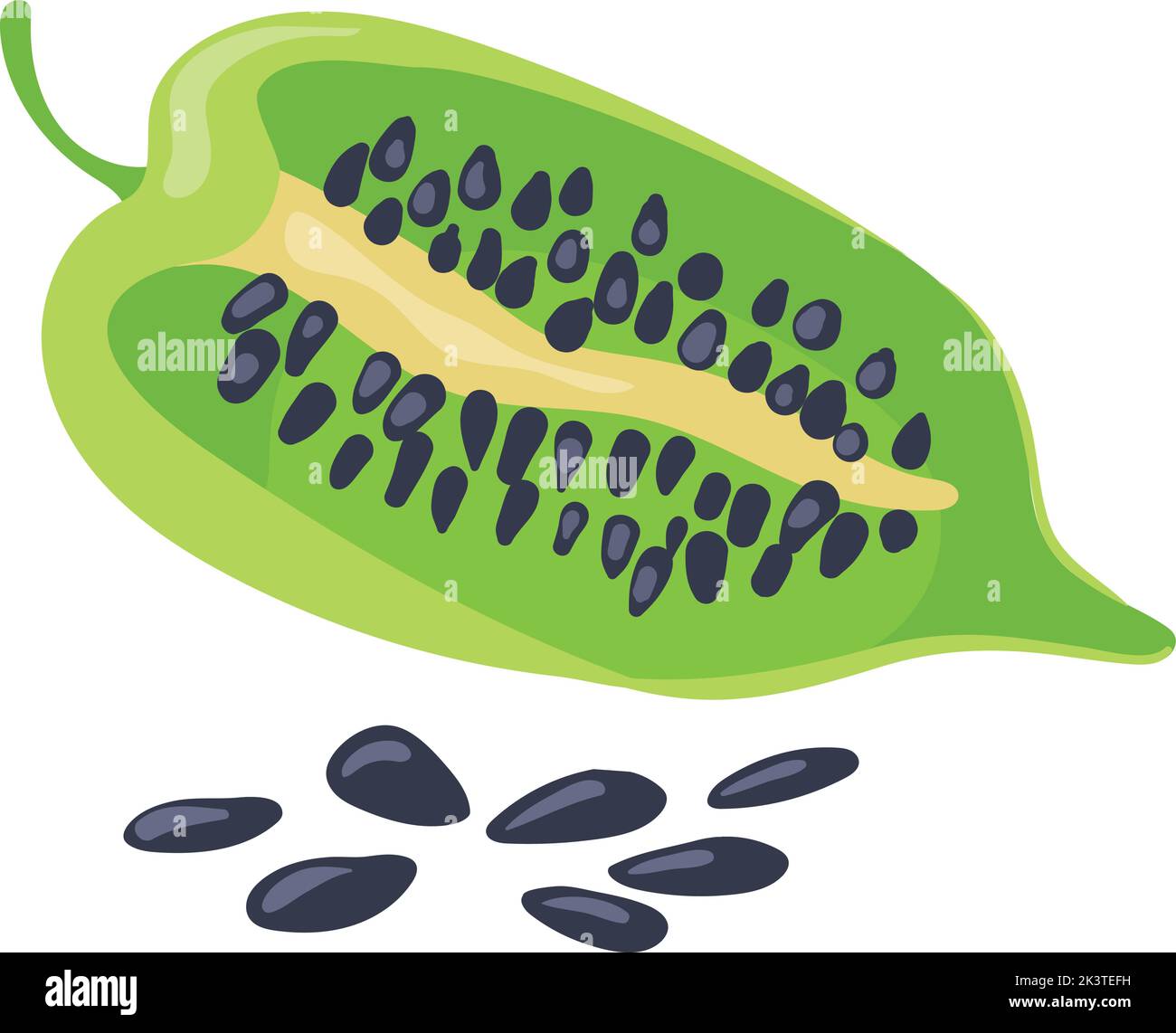 Sesame seed cartoon icon. Raw cooking ingridient isolated on white ...