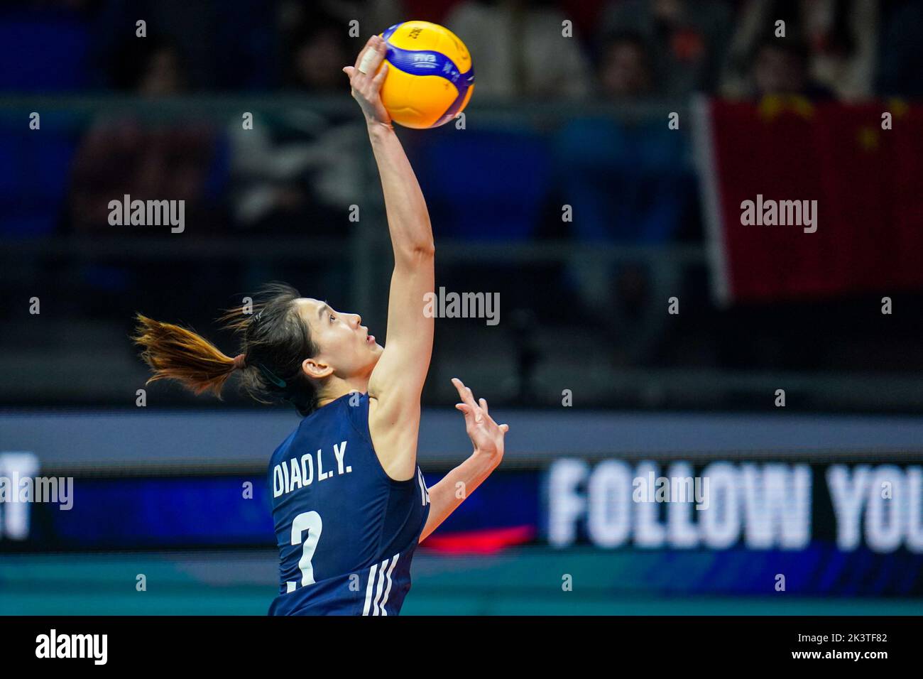 Linyu diao hi-res stock photography and images - Alamy