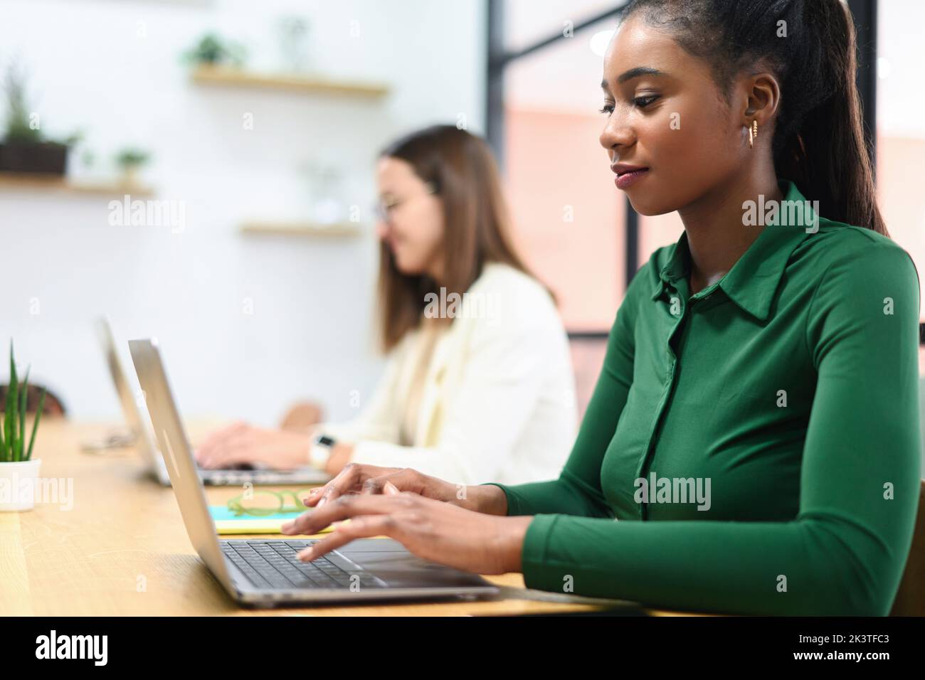 Side view of concentrated african-american female employee using laptop ...