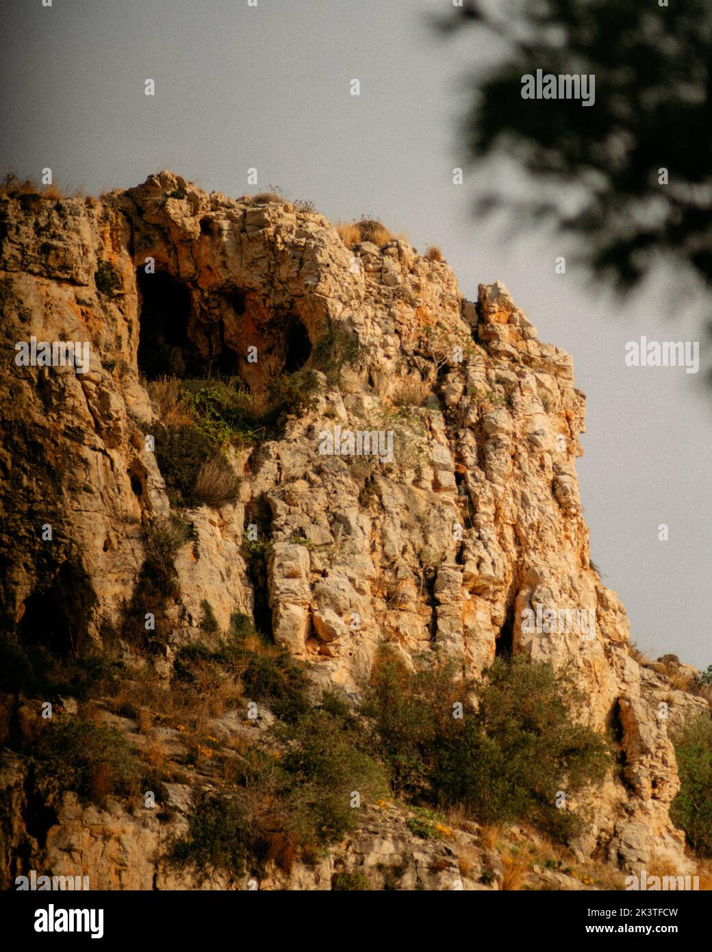 A vertical shot of the cliff with bushes against the background of the ...