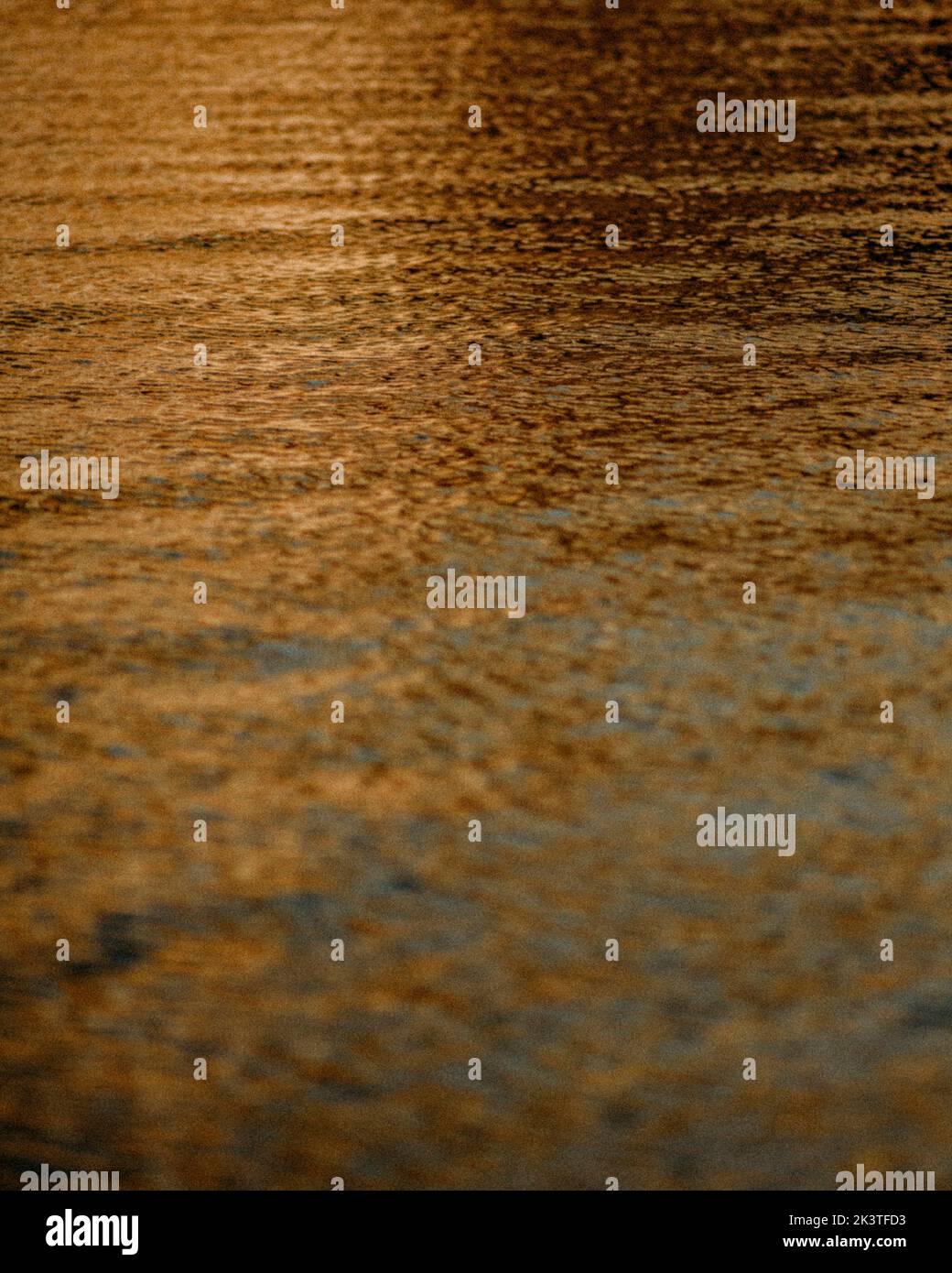 A vertical shot of the calm water surface at golden hour Stock Photo ...