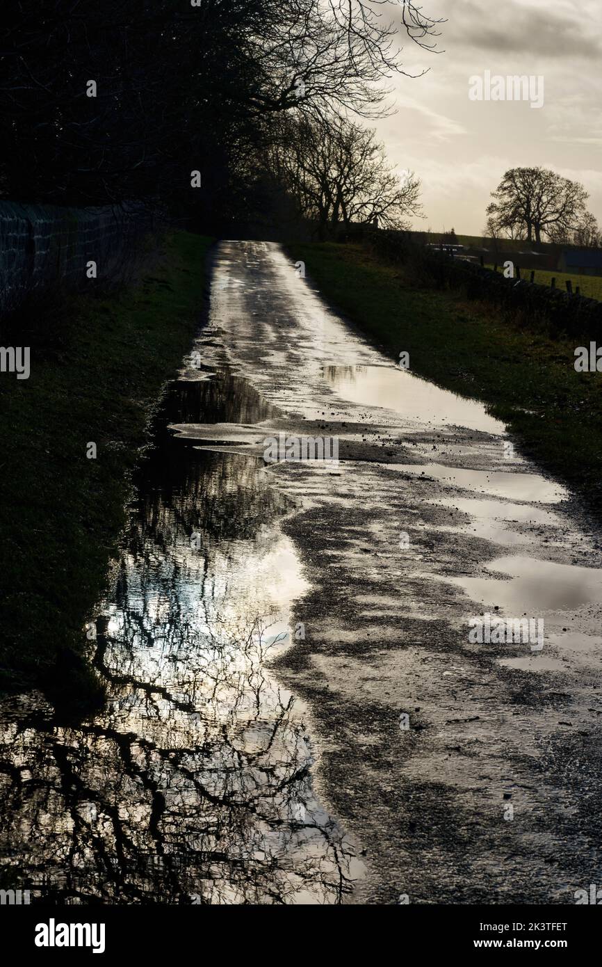 A narrow rural road with big puddles reflects tree branches after heavy ...
