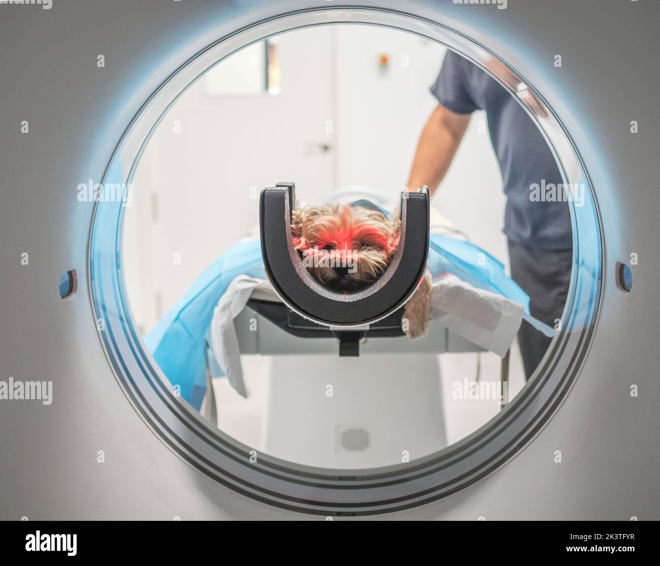 Mri unrecognizable hi-res stock photography and images - Alamy