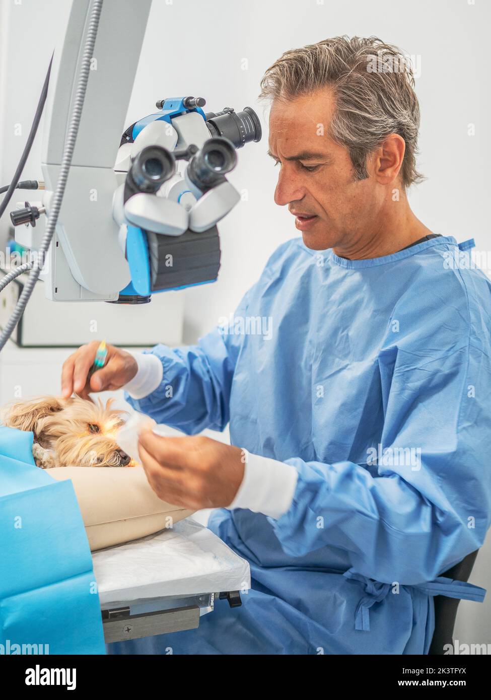 Adult man in medical uniform examining and preparing little dog to ...