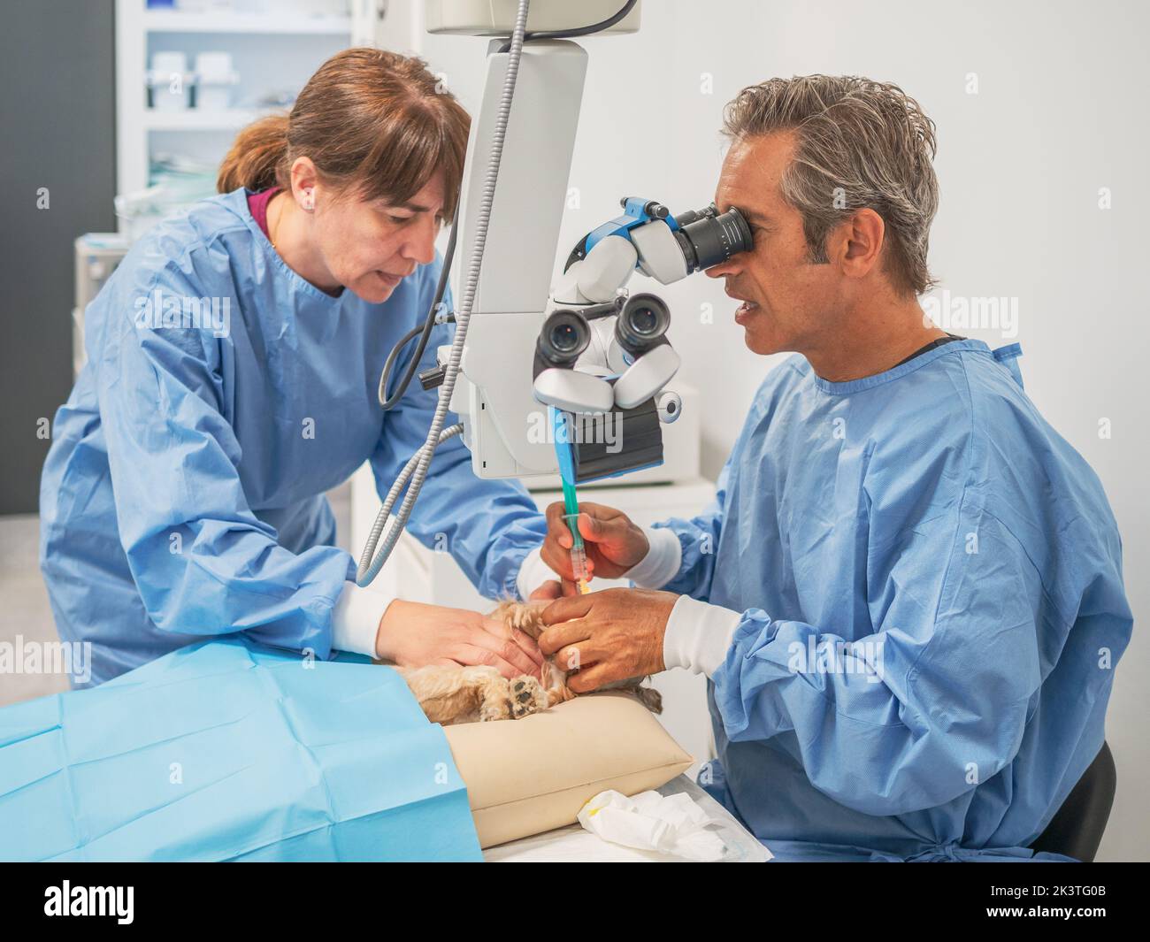Side view of adult man and woman in medical uniform examining and ...