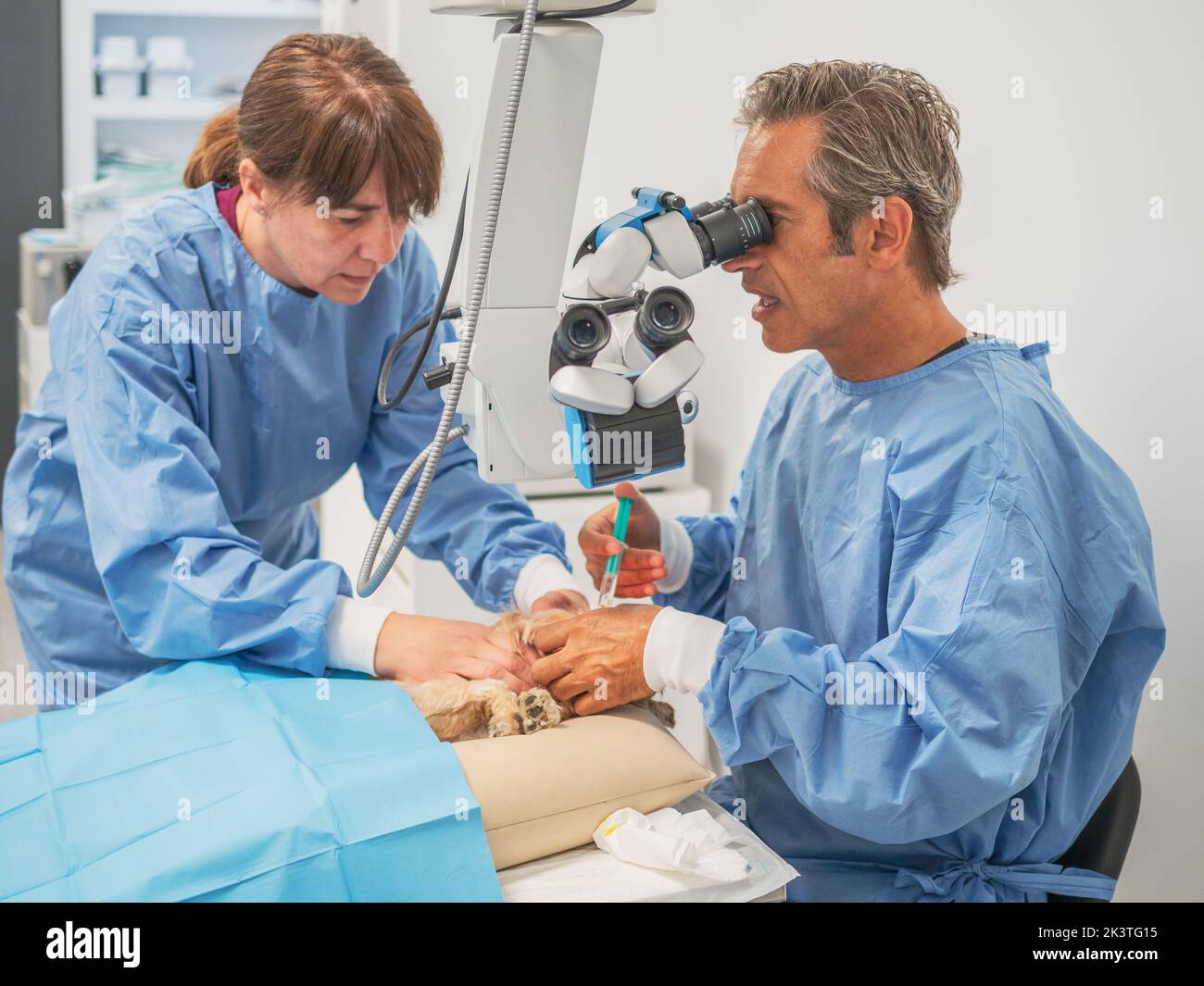 Side view of adult man and woman in medical uniform examining and ...