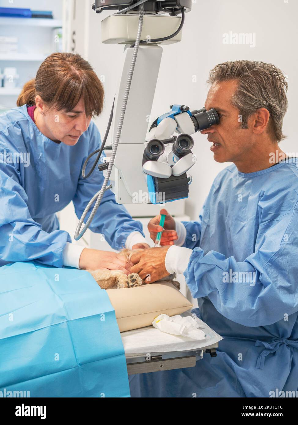 Side view of adult man and woman in medical uniform examining and ...