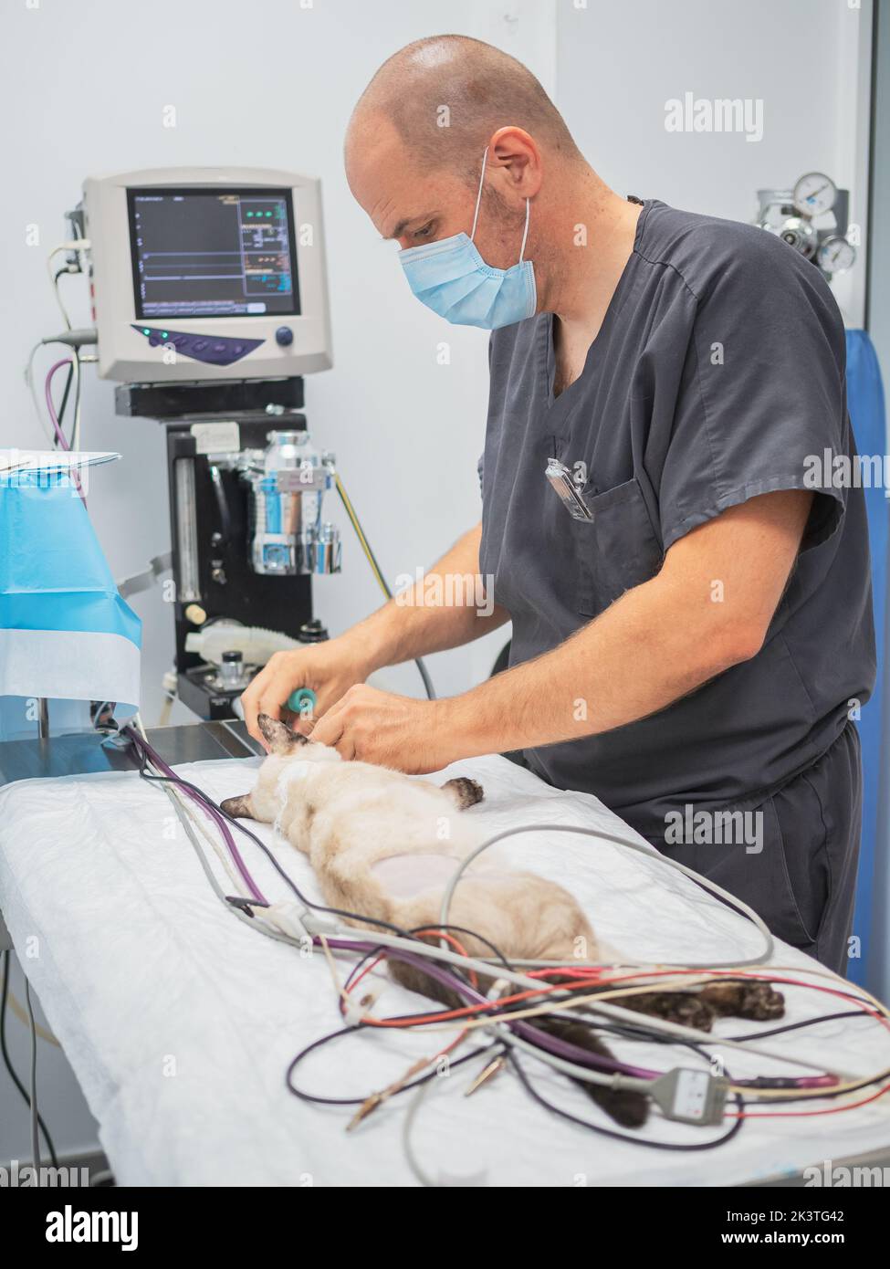Anesthesia adult patient mask hi-res stock photography and images - Alamy