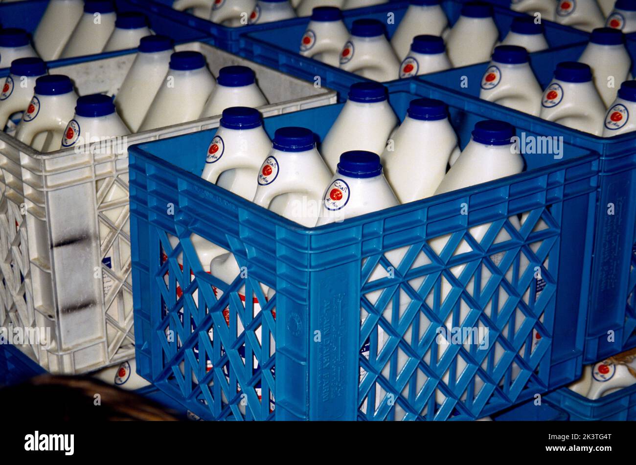 Al ain dairy farm hi-res stock photography and images - Alamy