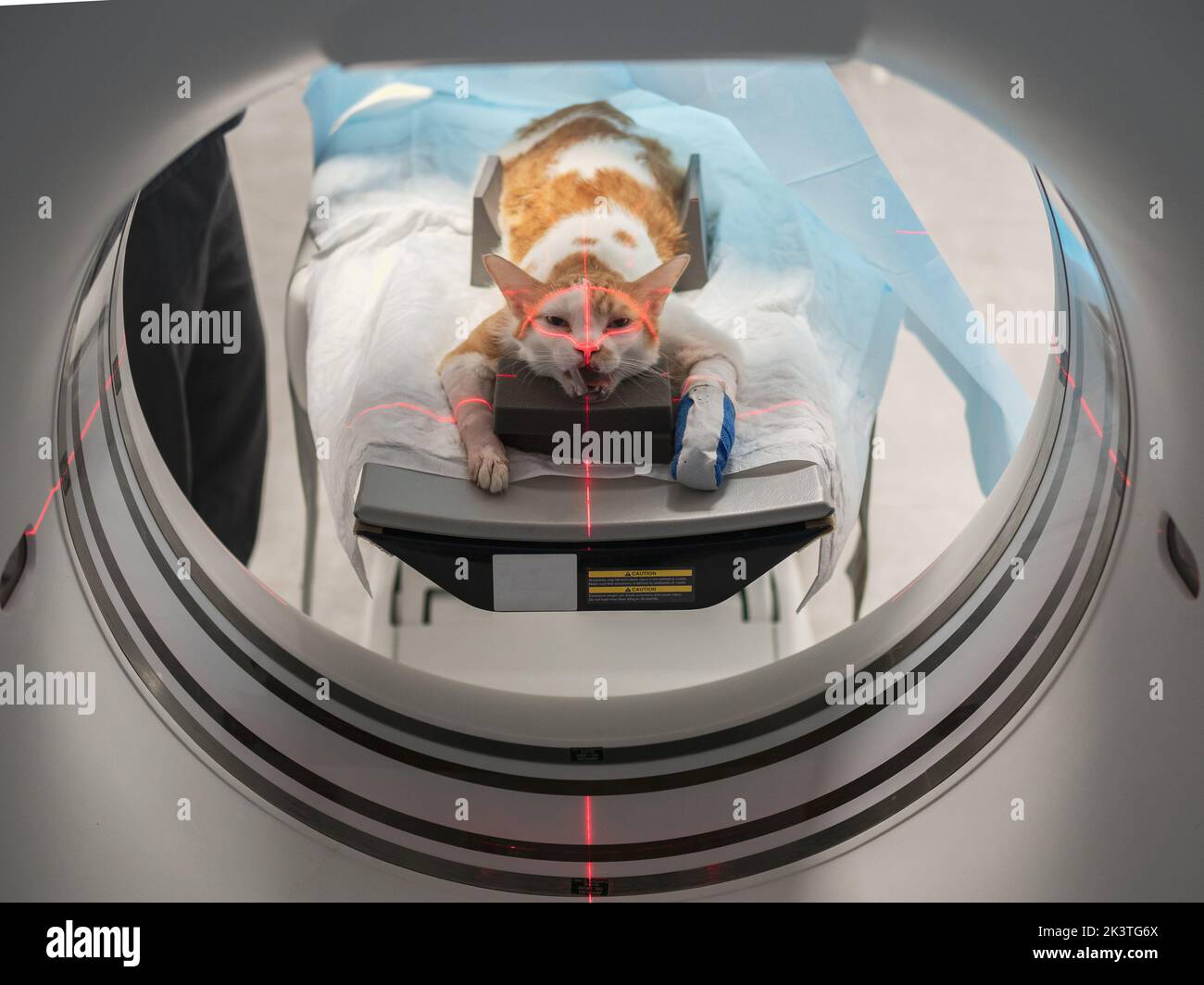 Mri table hi-res stock photography and images - Alamy