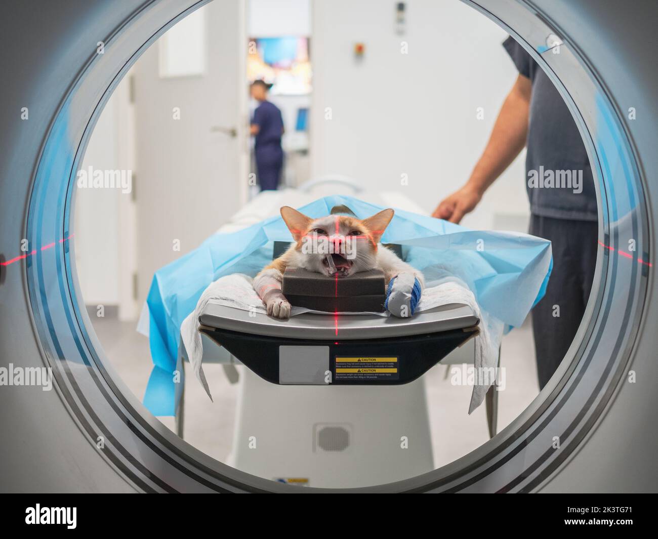 Mri unrecognizable hi-res stock photography and images - Alamy