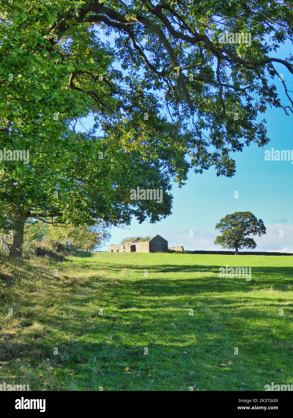 Tar path hi-res stock photography and images - Alamy