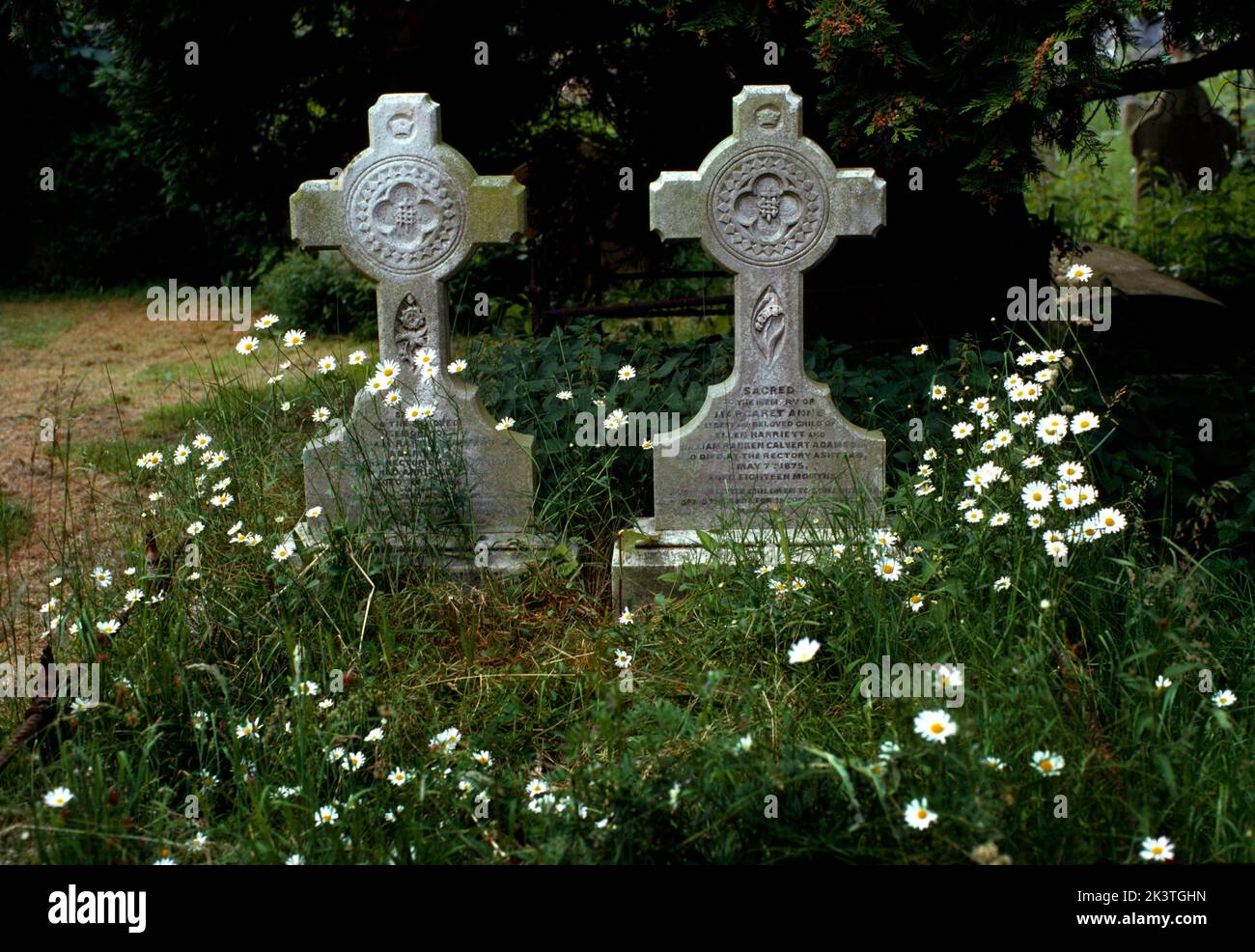 Ashtead Surrey England Church Graveyard Graves with overgrown Grass ...