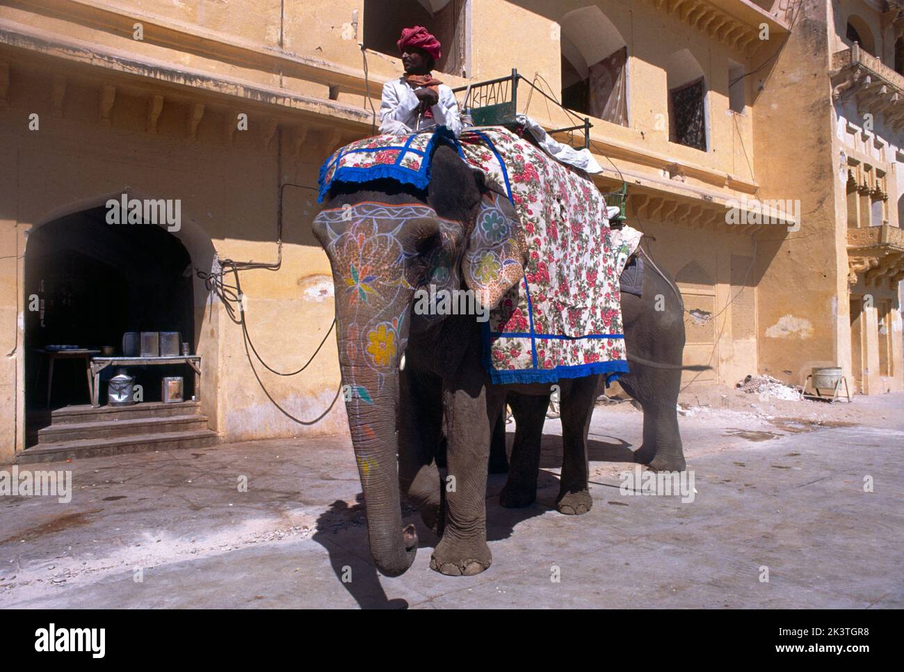 Elephant rider hi-res stock photography and images - Alamy