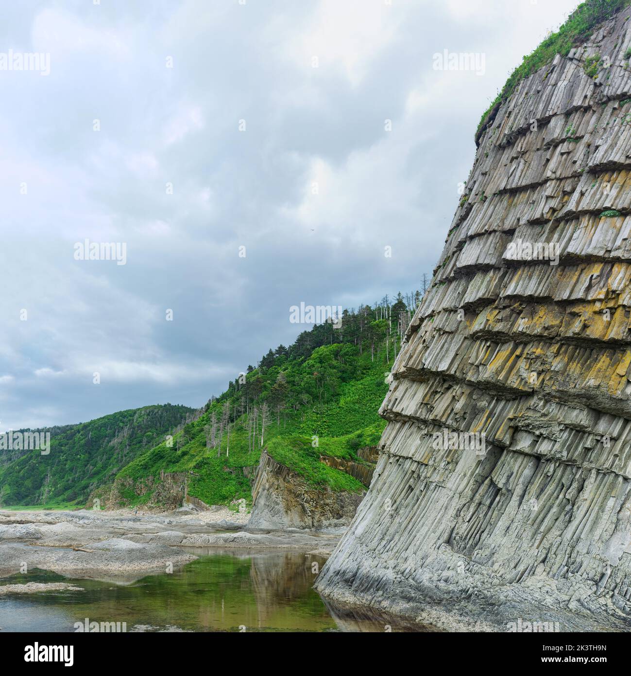coastal landscape, beautiful columnar basalt cliff on the wooded coast ...