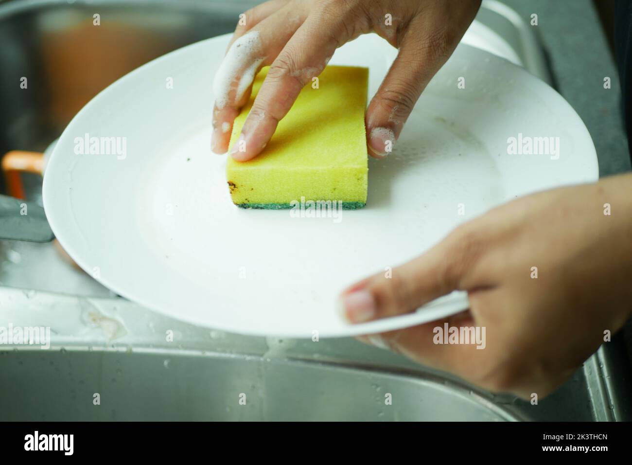 Women hand cleaning plate sponge hi-res stock photography and images - Alamy