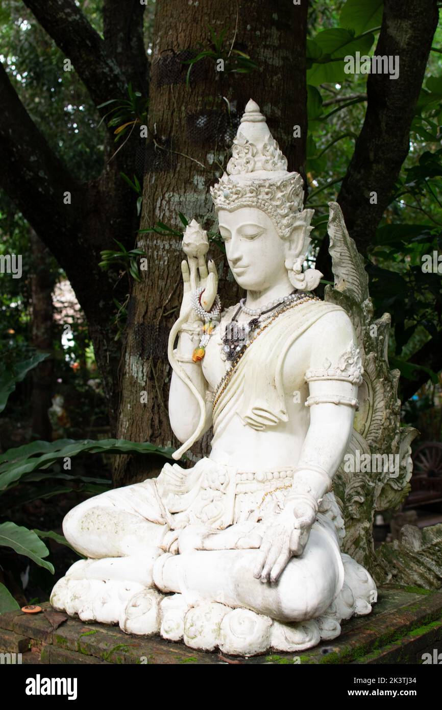 Buddha statue in wat benchamabophit hi-res stock photography and images ...