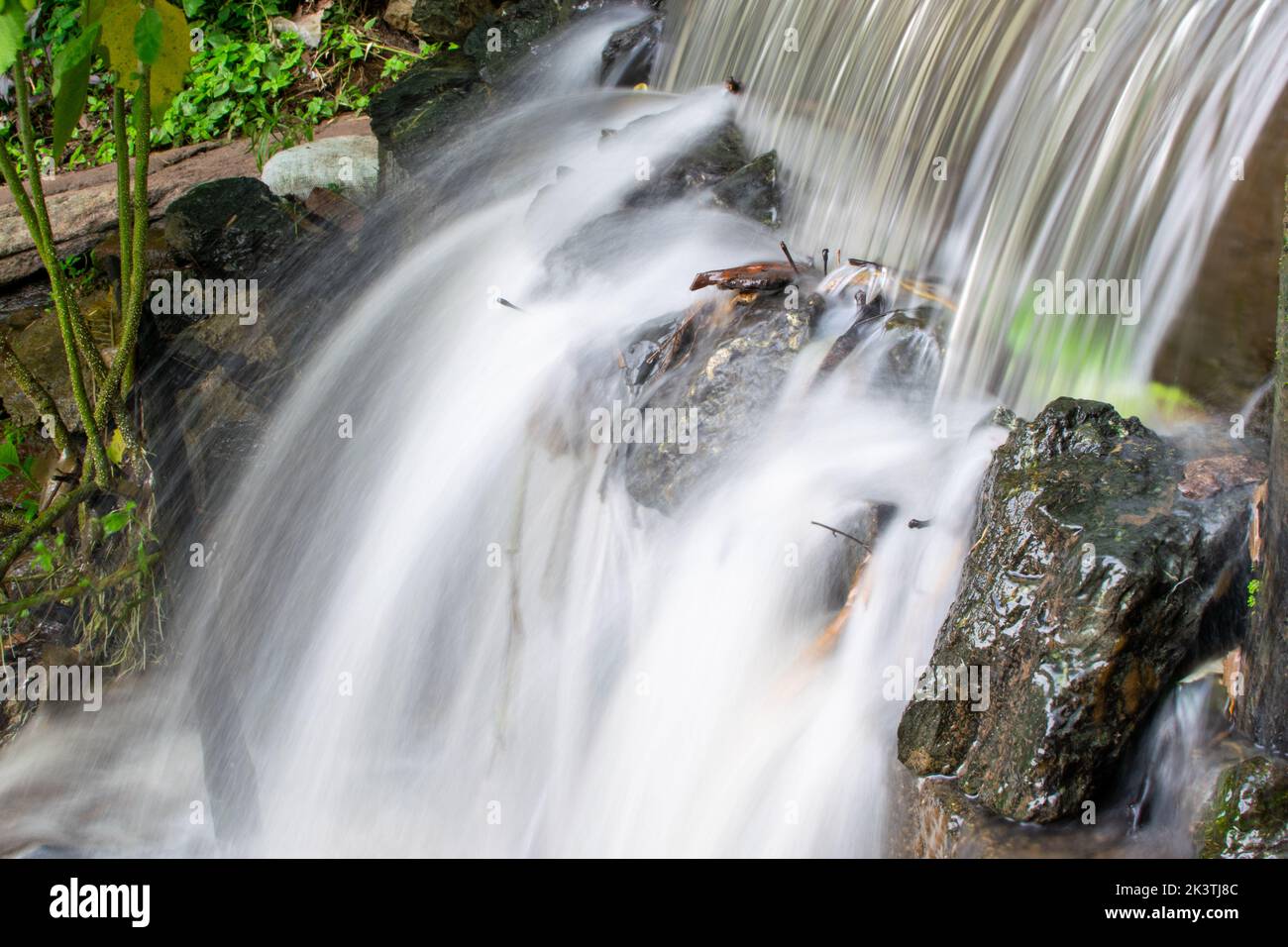 a small waterfall, water gently flowing in a stream, in the forestใ ...