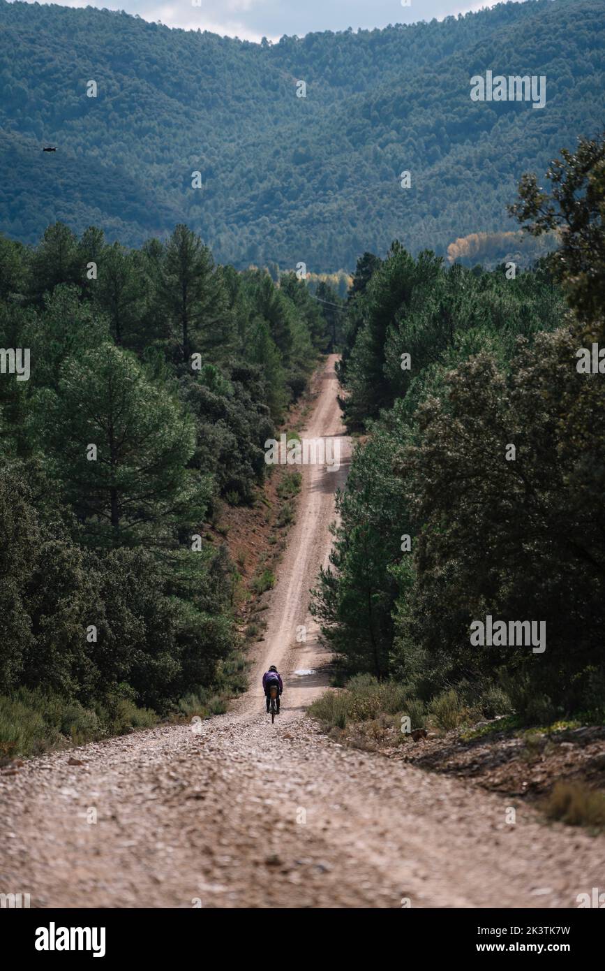 Breathtaking view of nature and cyclist riding on winding road ...
