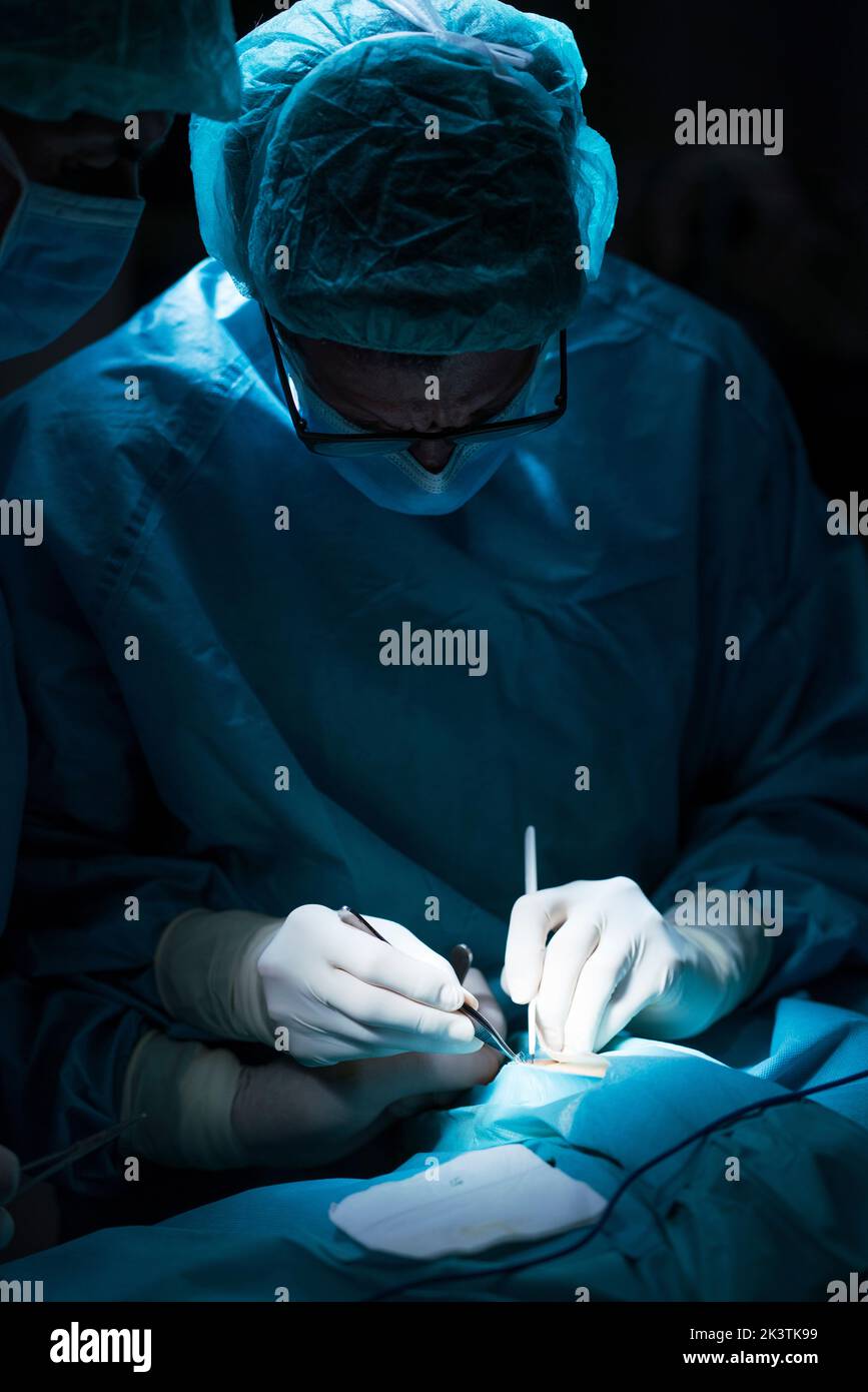 Man in surgeon uniform and his assistant performing surgery in dark ...