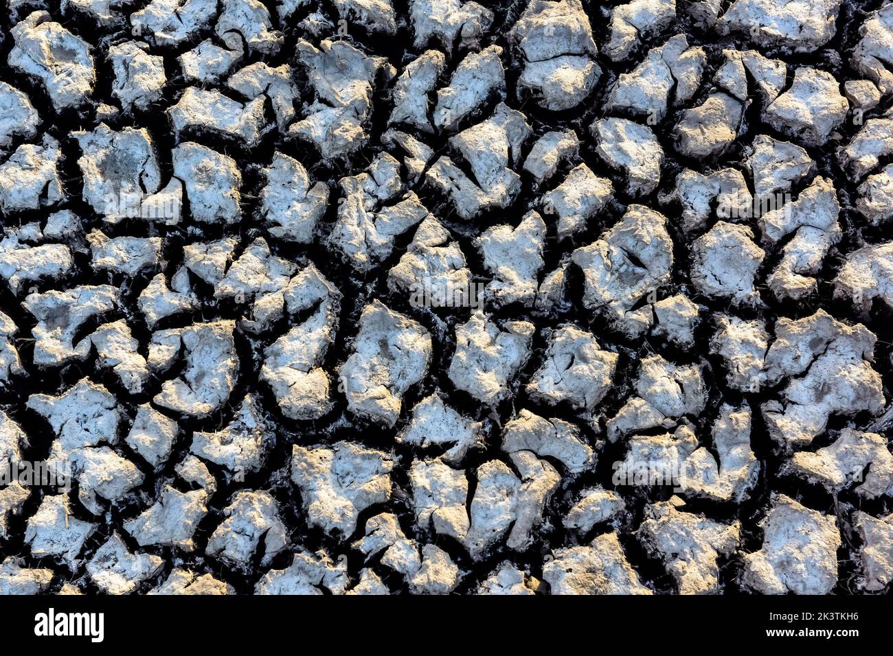 Cracked soil texture in the desert, La pampa Province, Patagonia ...