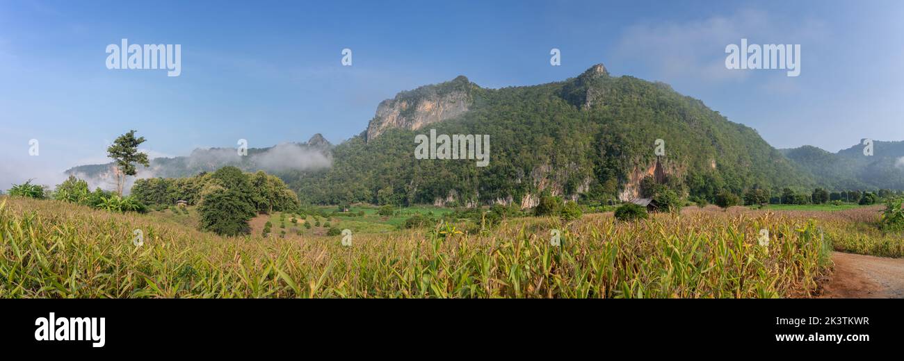 Panorama karst landscape in hi-res stock photography and images - Alamy