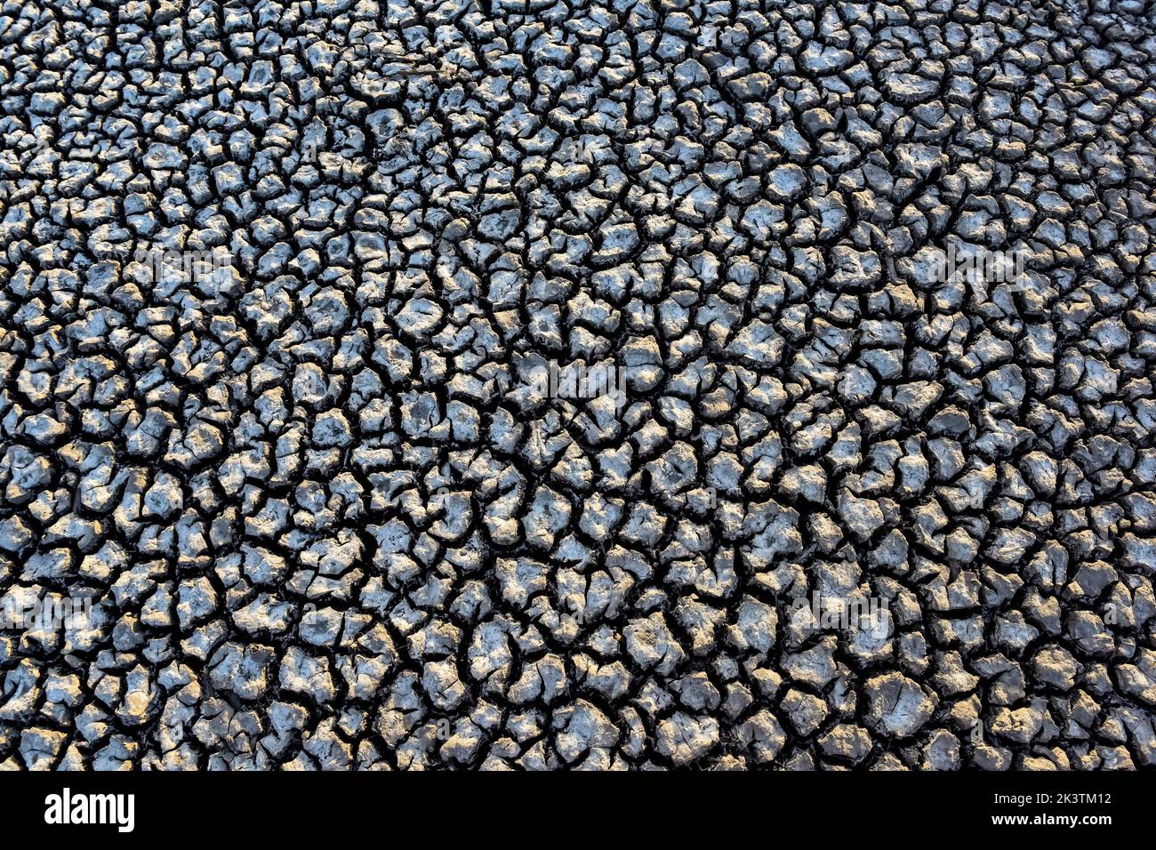 Cracked soil texture in the desert, La pampa Province, Patagonia ...