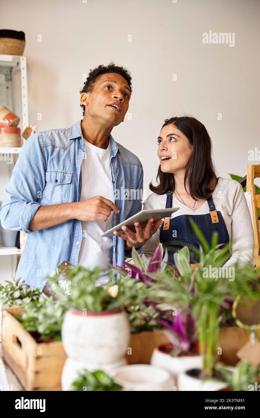 Nursery plant coworkers looking up while taking inventory Stock Photo ...