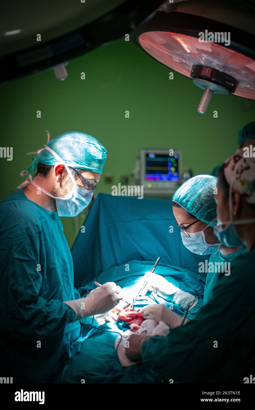 Side view of doctor and assistants in medical uniform performing ...