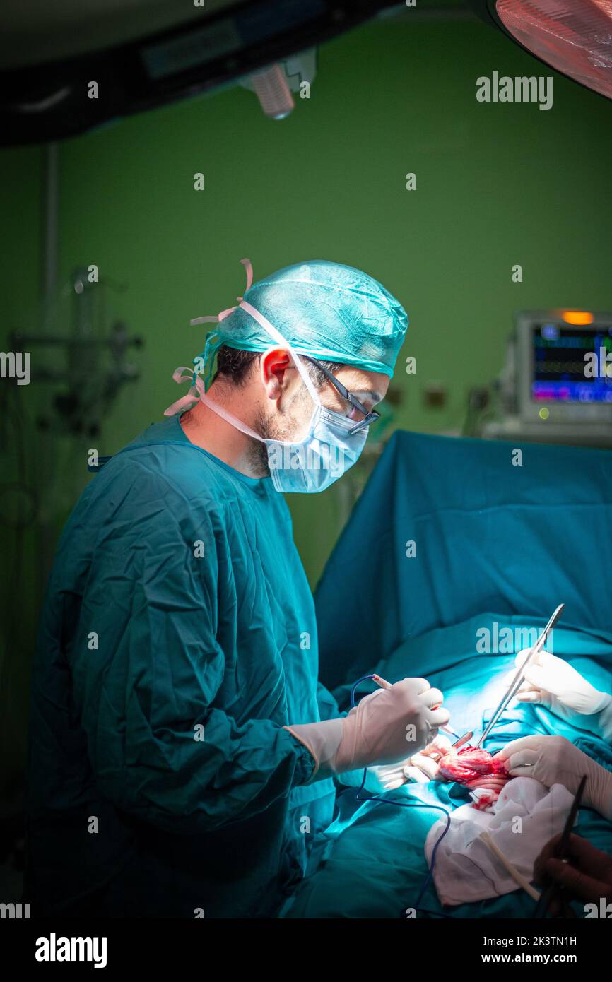 Side view of doctor and assistants hands in medical uniform performing ...