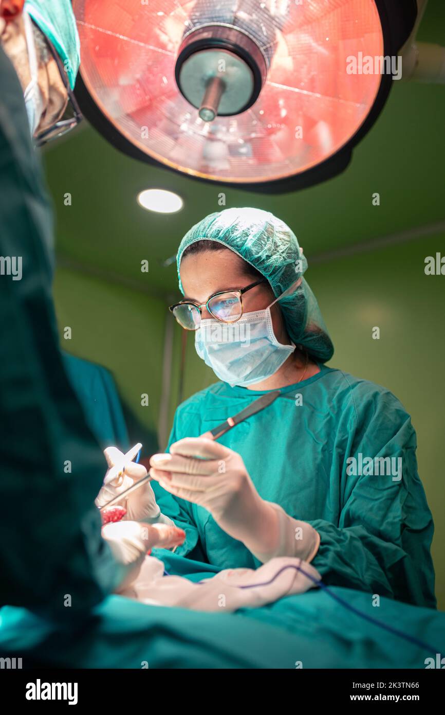 Female doctor in medical uniform performing surgery through cut on ...