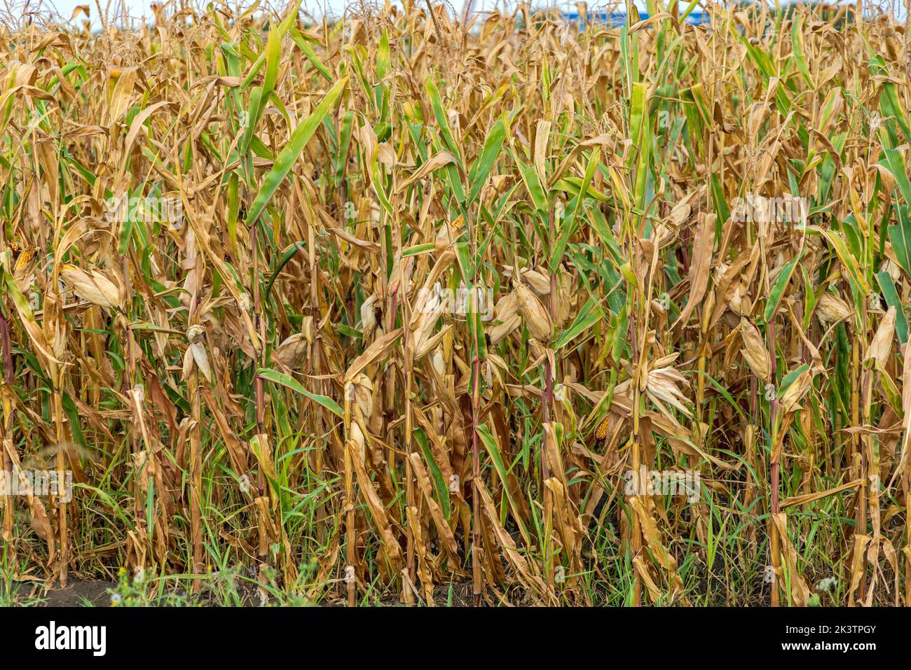 End of summer 2022 hi-res stock photography and images - Alamy