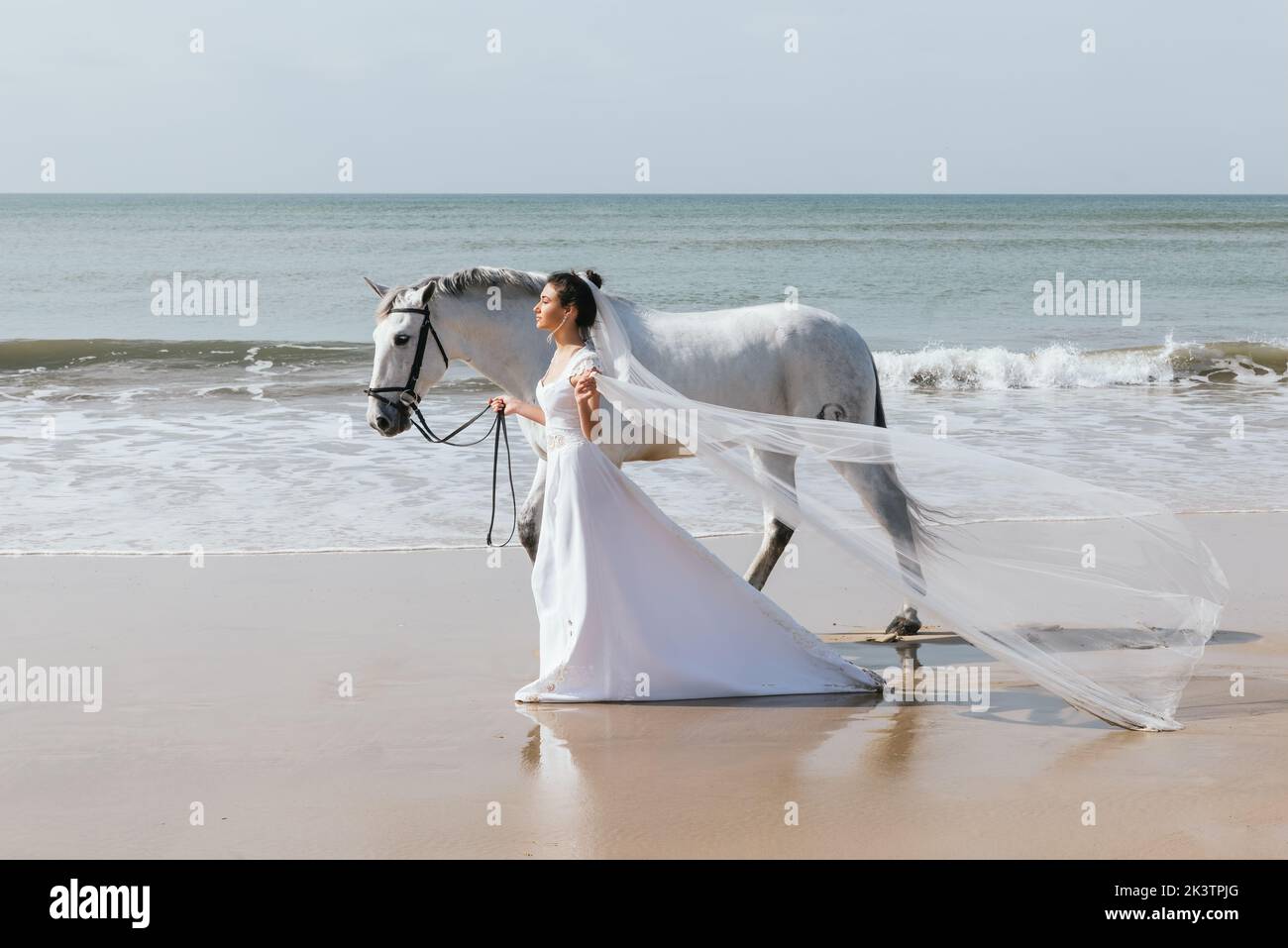 Side view of serene woman in white dress leading purebred mare by reins ...