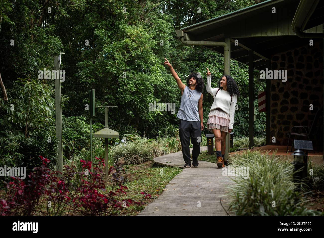 Trees with fingers hi-res stock photography and images - Alamy