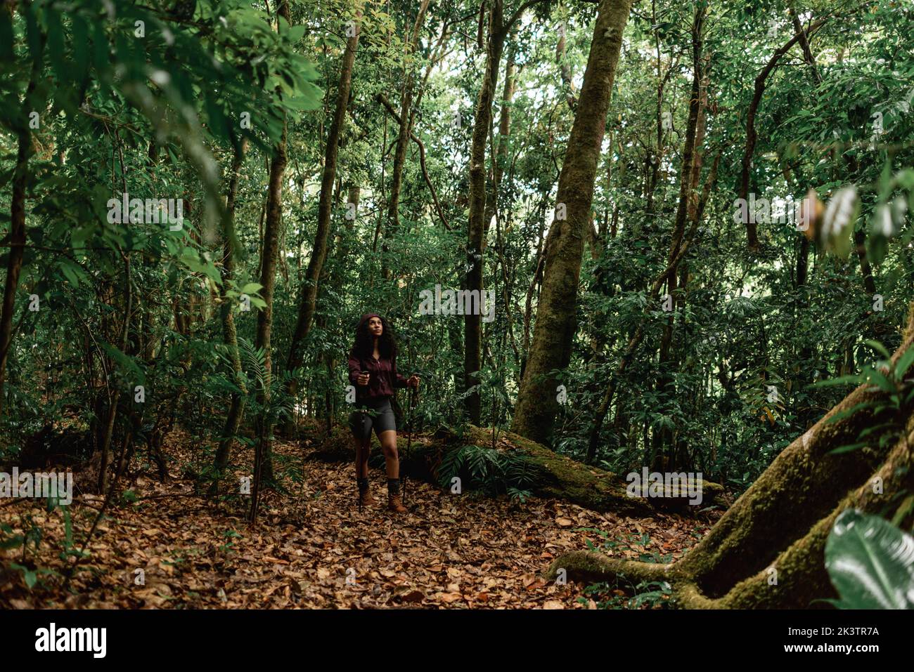 Ethnic female tourist looking up under high green trees in forest of ...