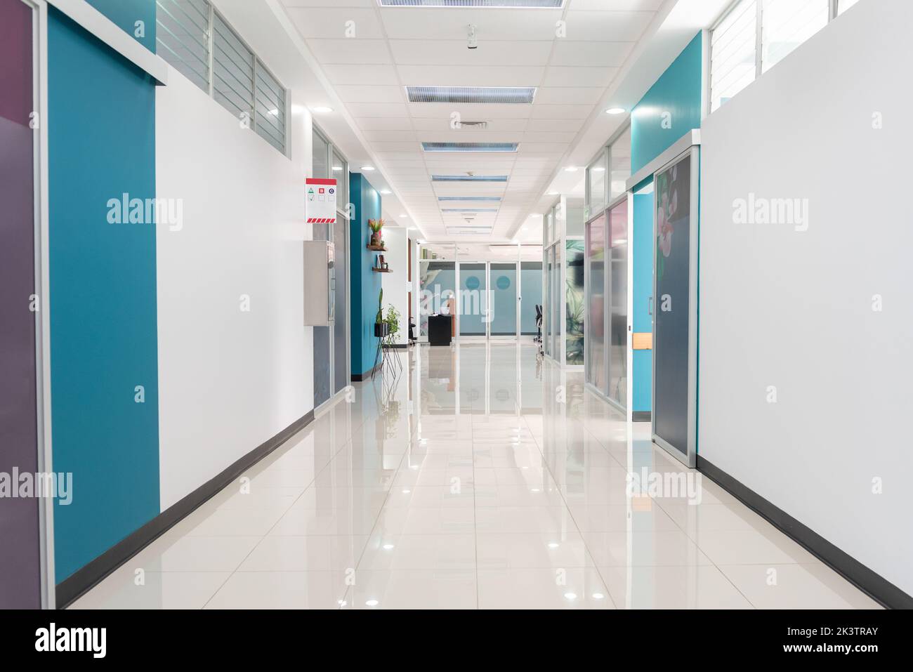 Interior of spacious light hallway with white and blue walls inside ...