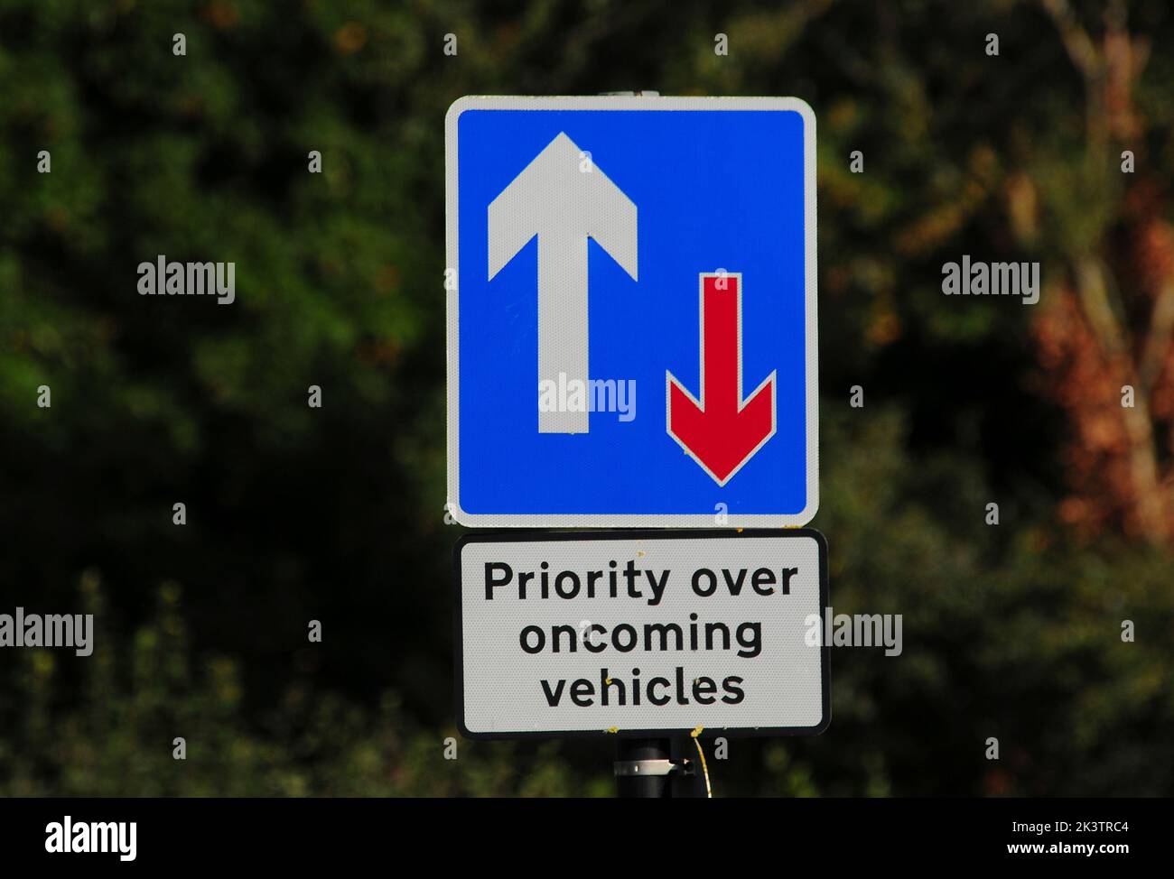 Priority over oncoming vehicles road sign Stock Photo - Alamy