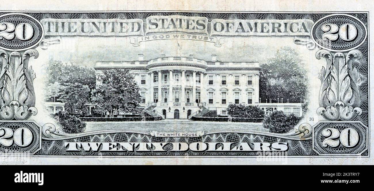 Large Fragment Of The Reverse Side Of 20 Twenty Dollars Bill Banknote