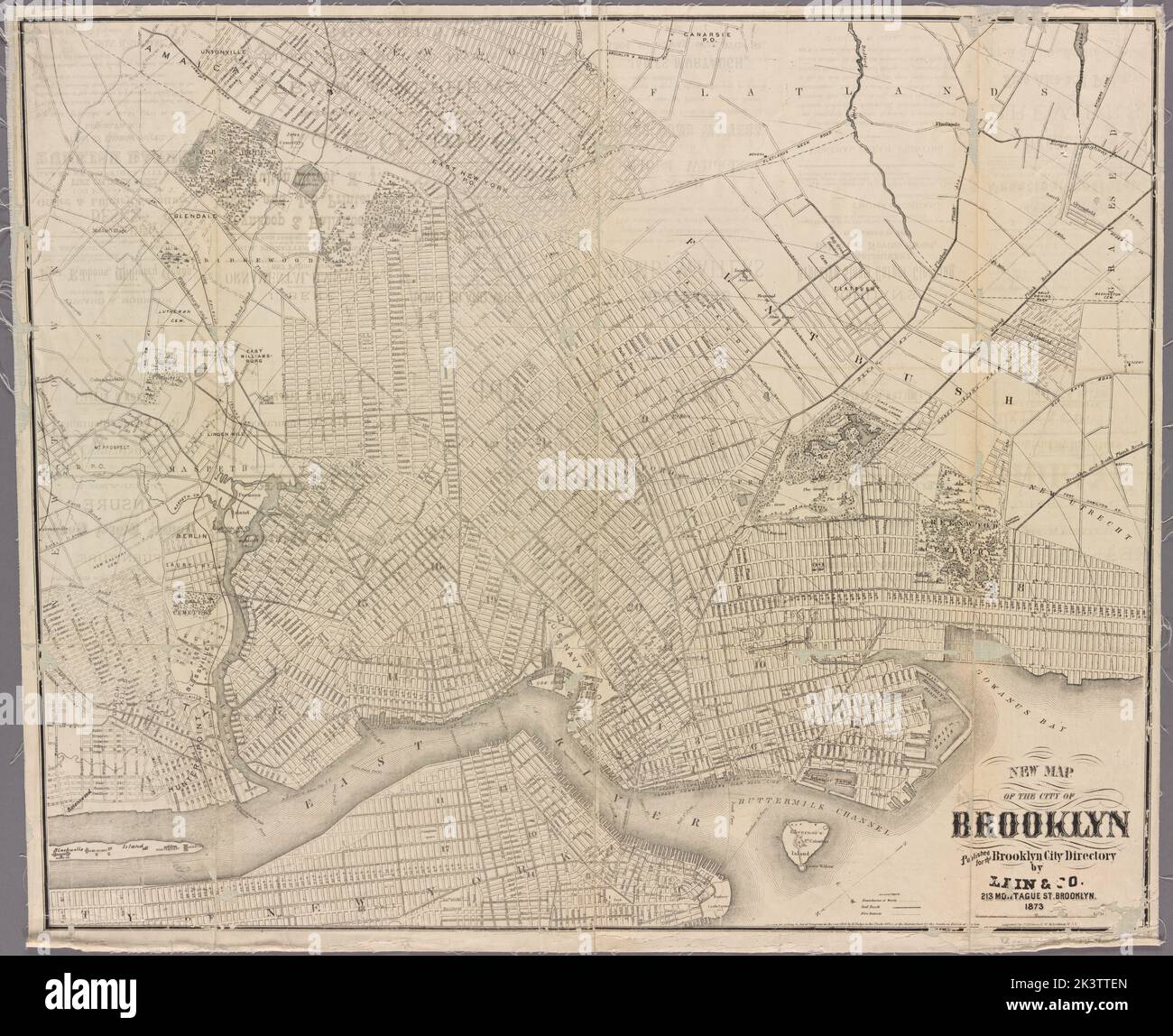 New map of the city of Brooklyn: published for the Brooklyn City ...