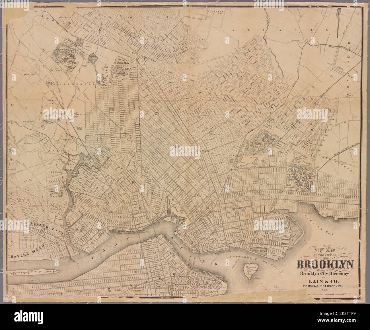 New map of the city of Brooklyn: published for the Brooklyn City ...
