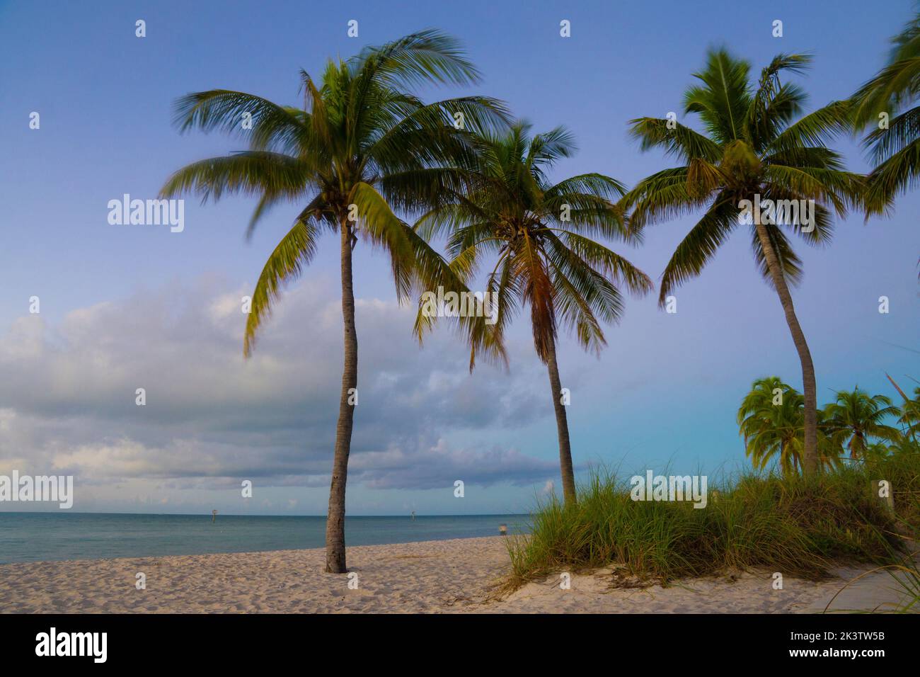 Sunrise in Key West at Smathers Beach Stock Photo - Alamy