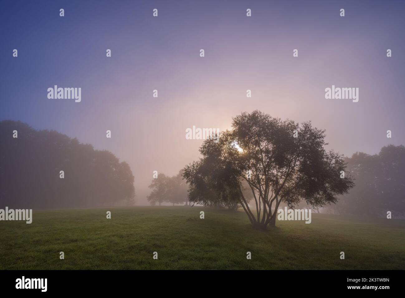 Mystic fog in the park, autumn landscape with fog and light rays Stock ...