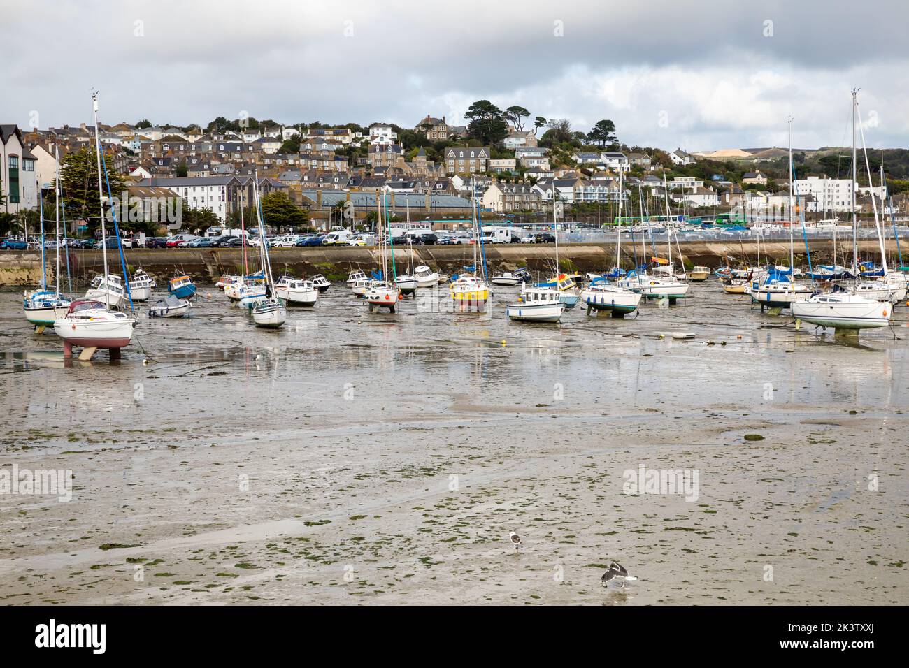 Low temperature promenade hi-res stock photography and images - Alamy