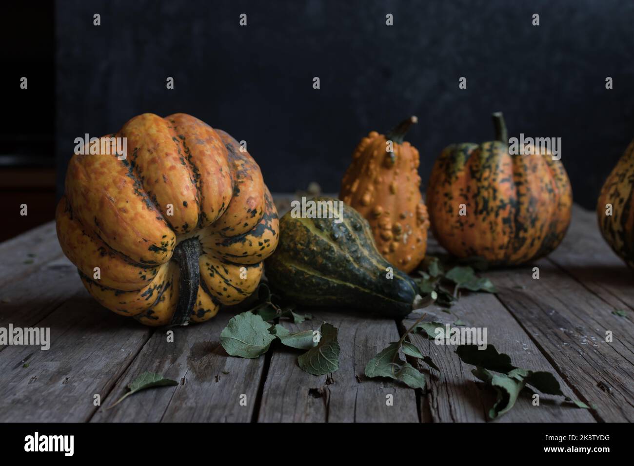 Assorted rustic pumpkins on dark wooden table Stock Photo - Alamy