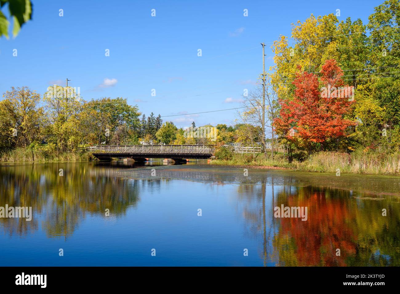 Wooden footbridge across a river lined with trees at peak of fall ...