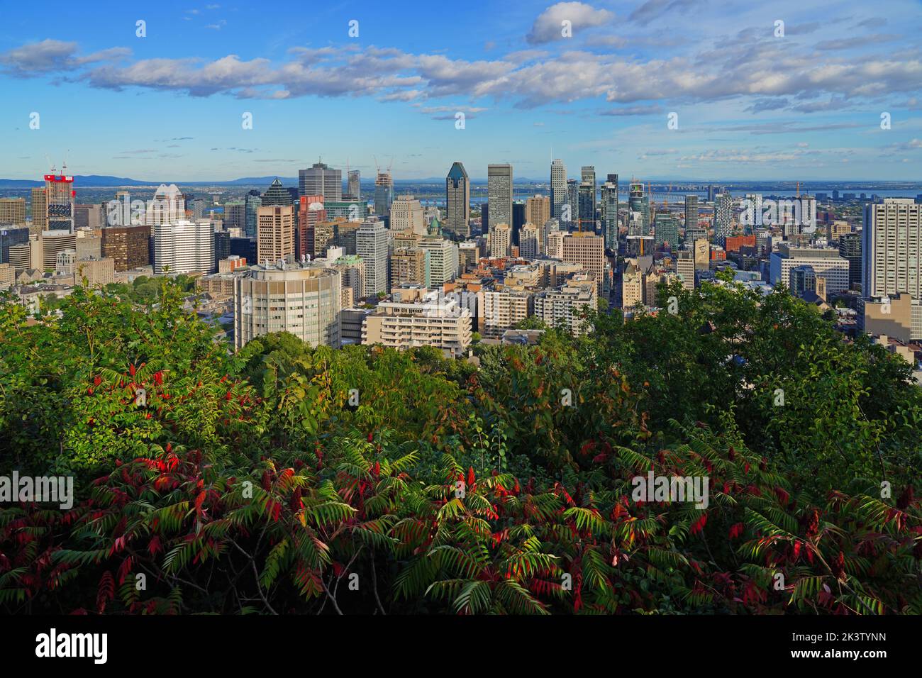 MONTREAL, CANADA -16 SEP 2022- Panoramic view of the city of Montreal ...